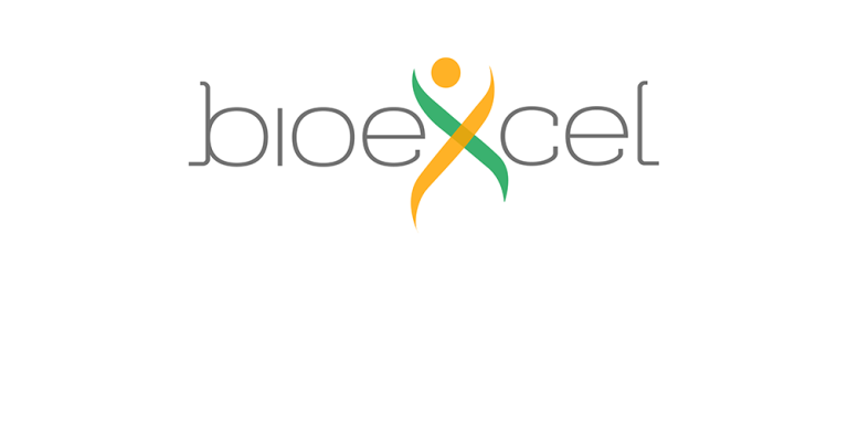 BioExcel Webinar: Accounting for protein and ligand flexibility in ...